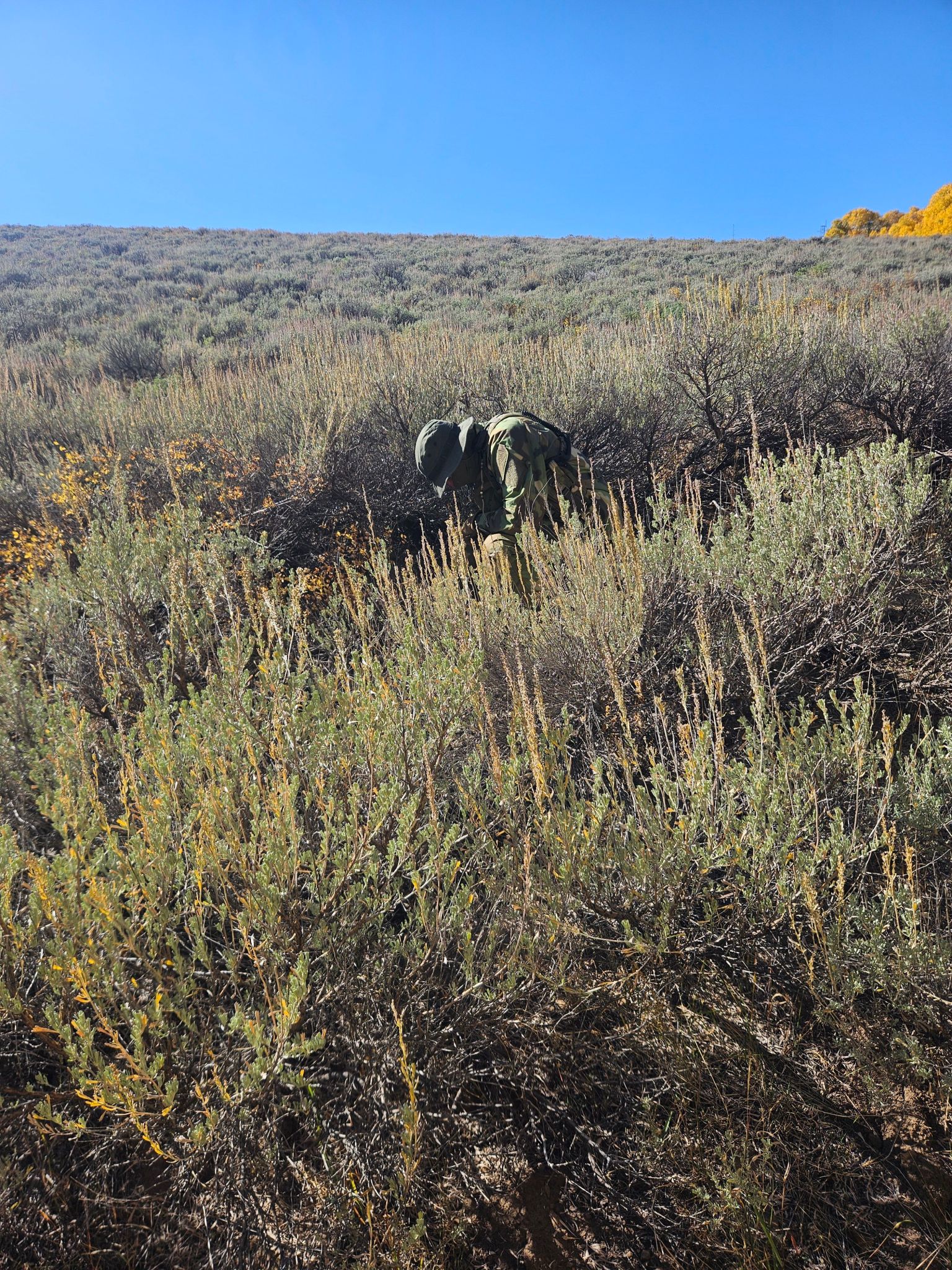 NEMESIS WOODLANDS WOLF CAMO – Wyoming Survival