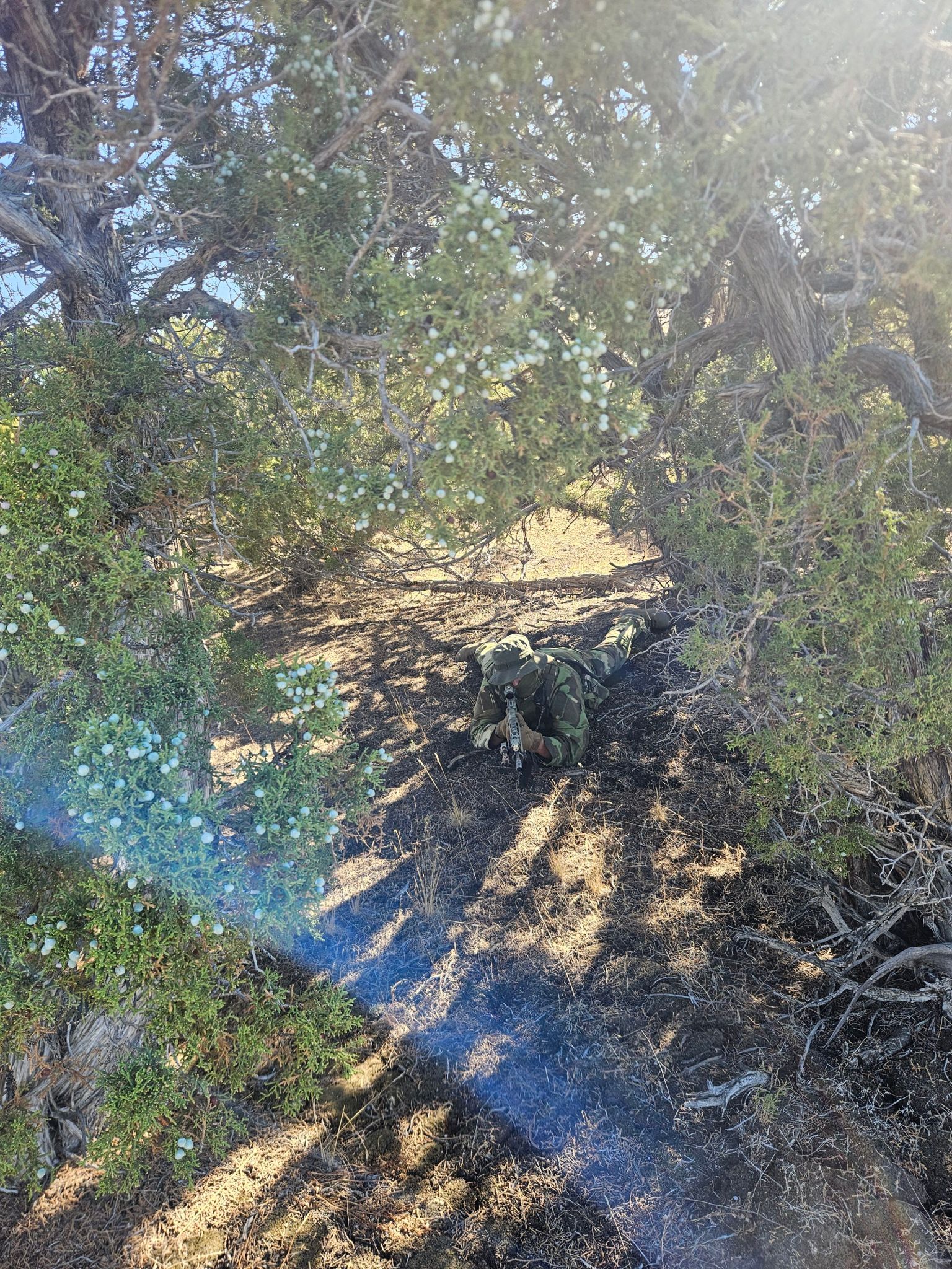 NEMESIS WOODLANDS WOLF CAMO – Wyoming Survival