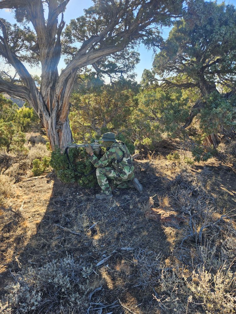 NEMESIS WOODLANDS WOLF CAMO – Wyoming Survival